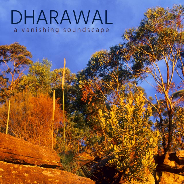 Dharawal | Wild Ambience Nature Sounds